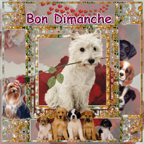 bon dimanche - Page 2